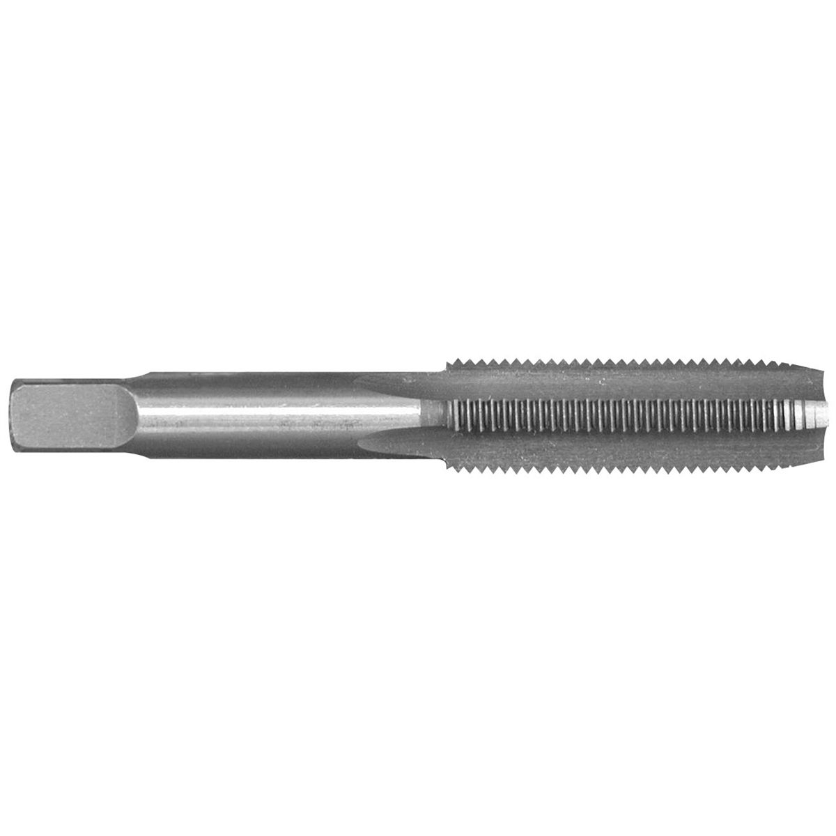 Mountain [55937] Mountain 6.0 X 1.00 Metric Tap 6.0 X 1.00 Metric Tap